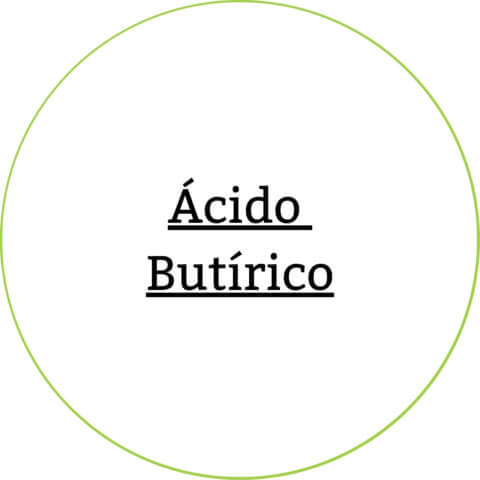 Ácido Butírico | Ácido Butírico Suplemento | Dadelos Agrícola